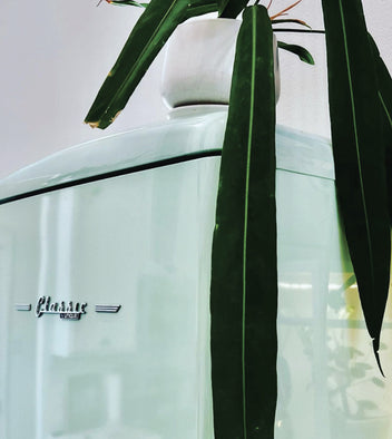 Unique Appliances: Stylishly designed kitchen appliances – Unique ...